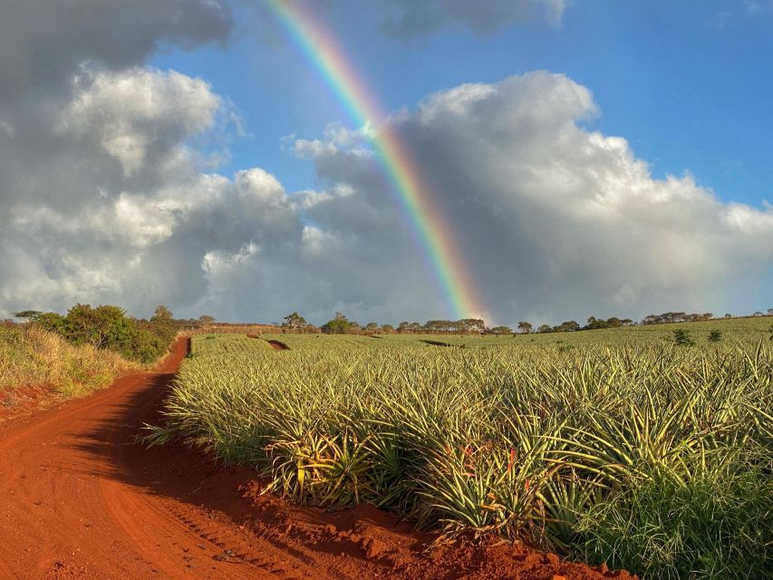 Full Day Best of Oahu Sightseeing Tour - Who Is This Tour Best For?