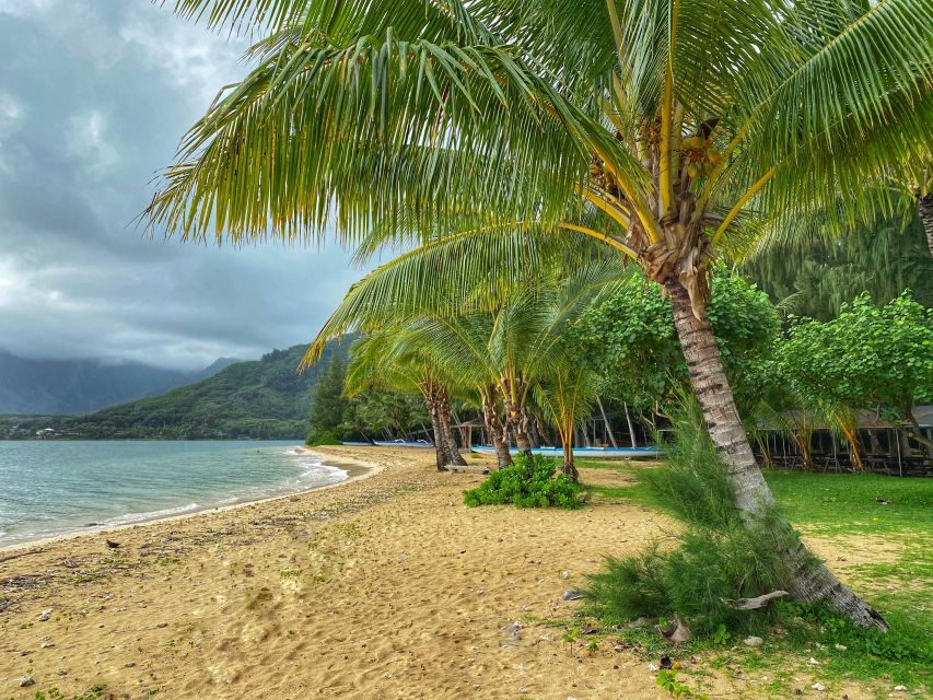 Full Day Best of Oahu Sightseeing Tour - Final Thoughts