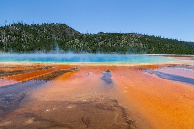 Full Day Best Of Yellowstone National Park Tour From Big Sky - An In-Depth Look at the Full Day Yellowstone Tour