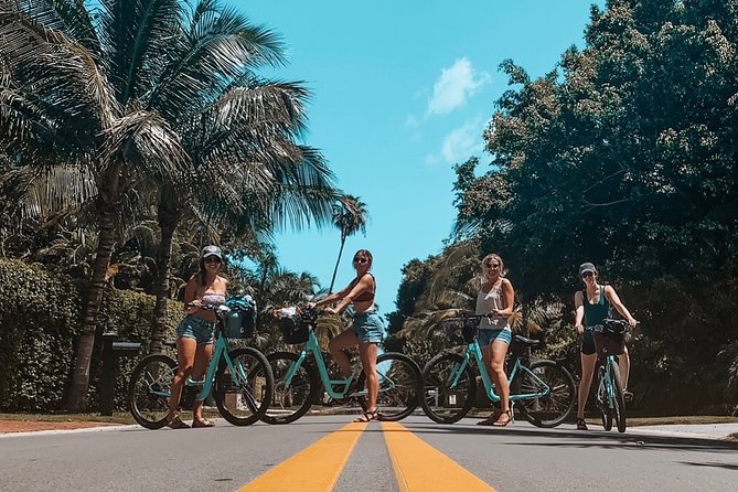 Full Day Bicycle Rental - Customer Feedback and Authentic Insights