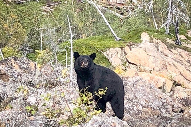 Full Day Canyon fishing trip - Key Points  