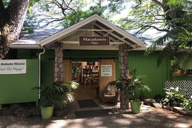 Full-Day Circle Island Guided Tour of Oahu - Transport & Comfort