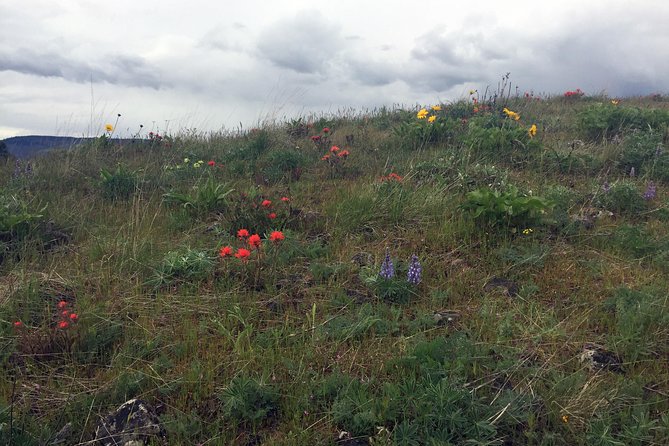 Full-day Columbia Gorge Hiking - The Details of the Full-Day Columbia Gorge Tour