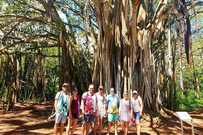 Full Day Customized North Shore Private Tour - Why Choose a Fully Customizable Experience?