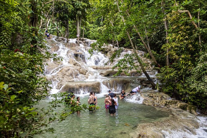 Full Day Dunn's River and Nine Miles with Lunch - Who Is This Tour Best For?