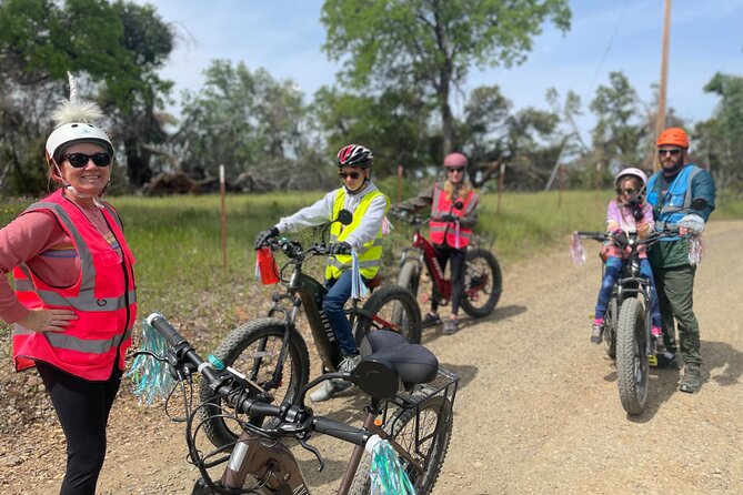 Full Day E-biking in the Sierra Foothills (Mariposa) - The Experience and Value