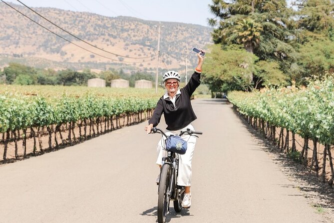 Full-Day Electric Bike Rental - Who Should Book This Experience?