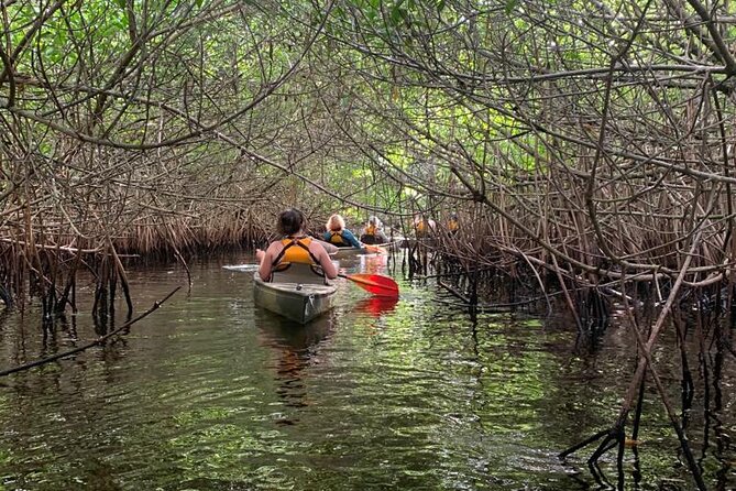 Full Day Everglades Combo Motorboat Eco and Kayak Tour - What’s Included and What’s Not