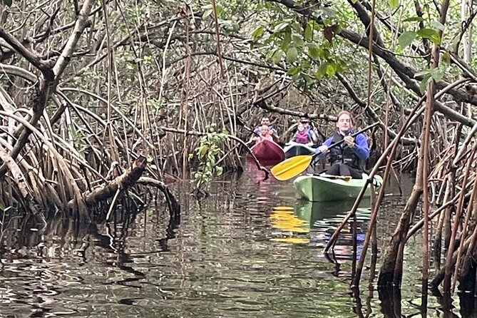 Full Day Everglades Combo Motorboat Eco and Kayak Tour - The Experience: What You Can Expect