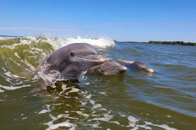 Full Day Everglades Combo Motorboat Eco and Kayak Tour - Who Should Consider This Tour?