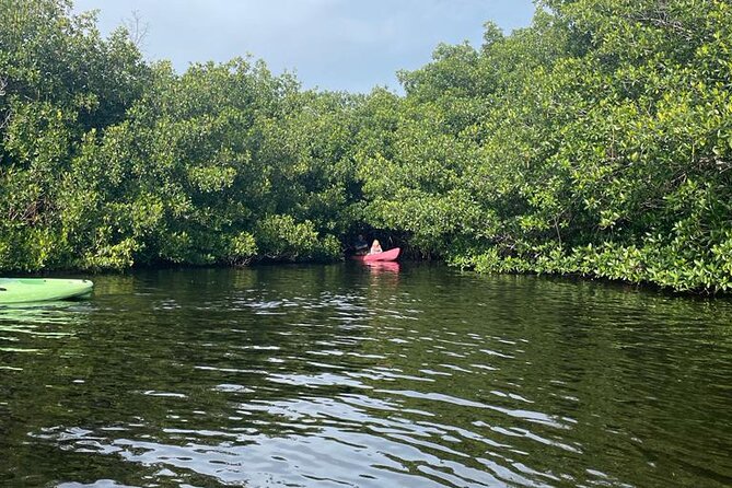 Full Day Everglades Combo Motorboat Eco and Kayak Tour - The Sum Up