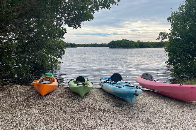 Full Day Everglades Combo Motorboat Eco and Kayak Tour - FAQ