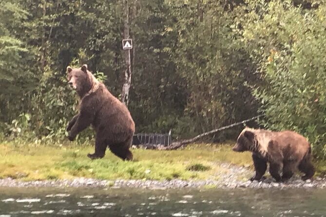 Full day fishing trips - Full Day Fishing Trips in Soldotna, Alaska: An Authentic Angling Adventure