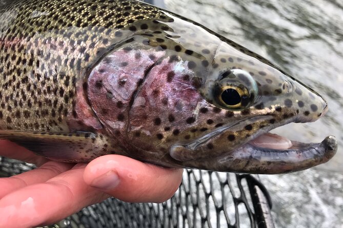 Full day fishing trips - An In-Depth Look at the Full Day Fishing Experience
