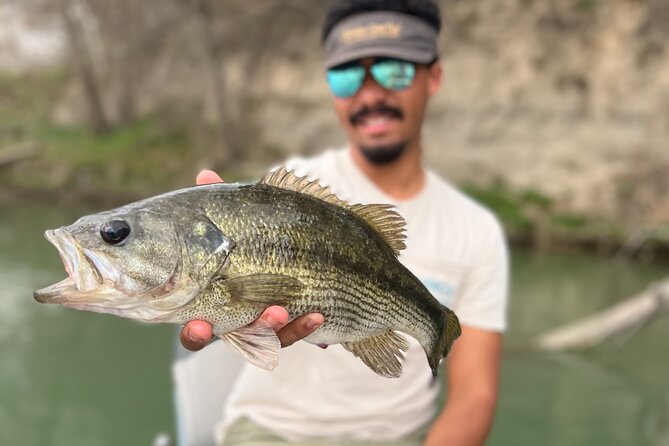 Full Day Guided Fishing Tour in Canyon Lake - Key Points