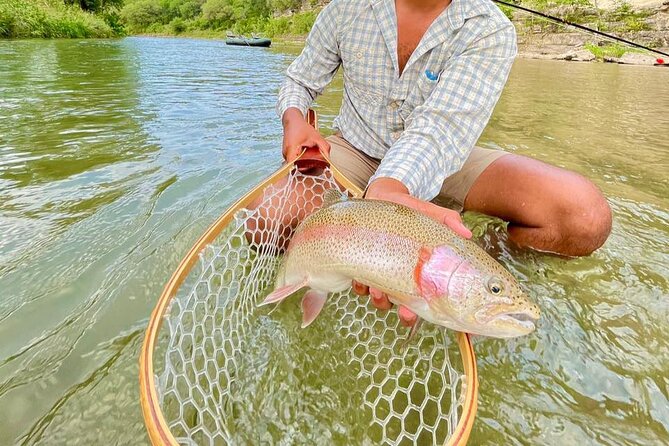 Full Day Guided Fishing Tour in Canyon Lake - The Sum Up