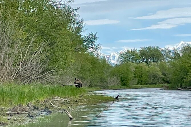 Full Day Guided Kayak Tour on Knik River - Final Thoughts
