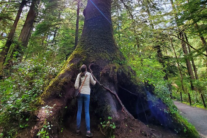 Full-Day Guided Oregon Coast Tour from Portland - Who Is This Tour Best For?