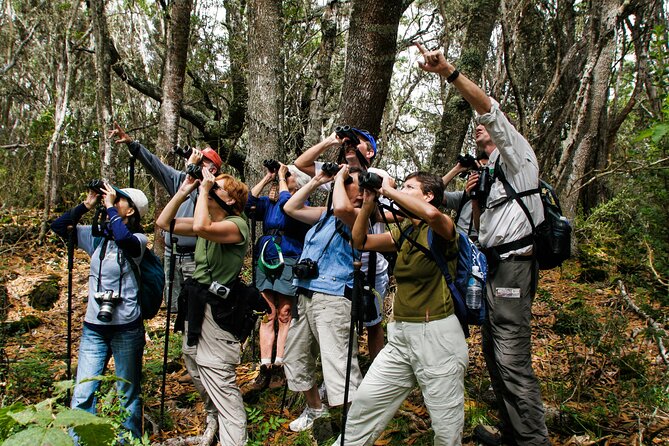 Full-Day Hakalau Forest Reserve Bird Watching Adventure - Discover the Beauty of Hawaii’s Birdlife with the Full-Day Hakalau Forest Reserve Bird Watching Adventure