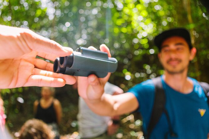 Full-Day Hakalau Forest Reserve Bird Watching Adventure - Who Will Love This Tour?