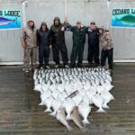 Full Day Halibut/Salmon Combo Tour in Ketchikan - An In-Depth Look at the Full Day Fishing Tour in Ketchikan