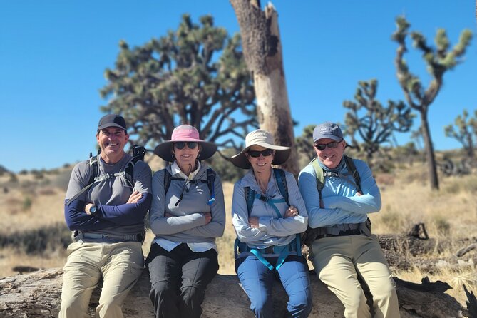 Full Day Hike in Joshua Tree National Park - An In-Depth Look at the Full-Day Joshua Tree Hike