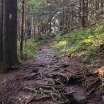 Full Day Hike to Charlies Bunion on the Appalachian Trail - Itinerary Breakdown: What Makes This Day Special