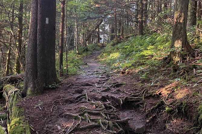 Full Day Hike to Charlies Bunion on the Appalachian Trail - Itinerary Breakdown: What Makes This Day Special