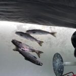 Full Day Ice Fishing Experience in Palmer Alaska - Detailed Breakdown of the Itinerary