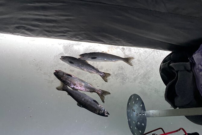 Full Day Ice Fishing Experience in Palmer Alaska - Detailed Breakdown of the Itinerary