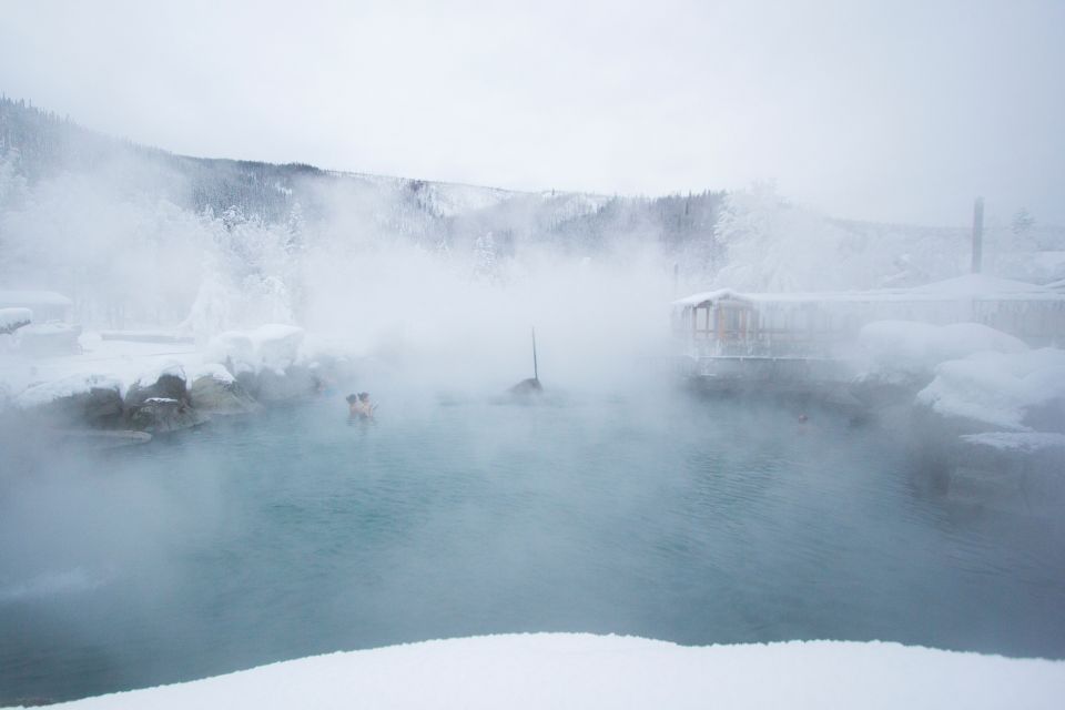 Full Day Ice Museum and Chena Hot Springs Tour - An Honest Breakdown of the Tour Experience