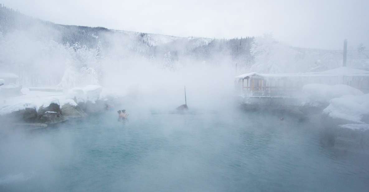 Full Day Ice Museum and Chena Hot Springs Tour - Authentic Experiences and Insights from Reviews