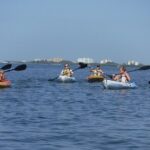 Full Day Kayak or SUP Rental (8hr) - Pelican Bay - What You Can Expect from Your Day