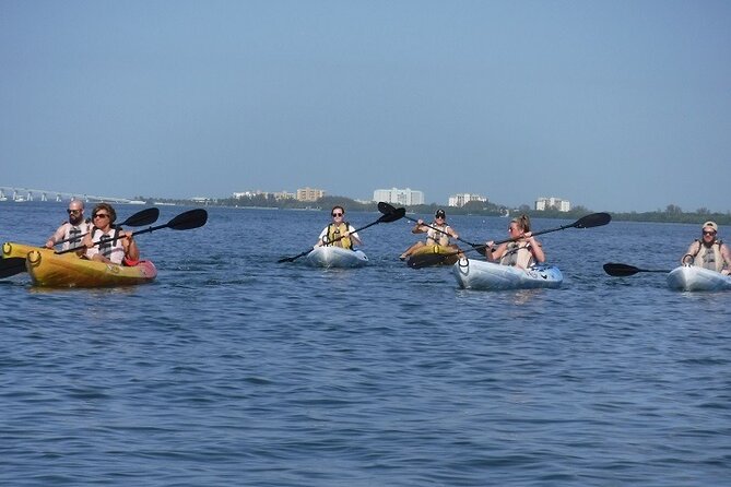Full Day Kayak or SUP Rental (8hr) - Pelican Bay - What You Can Expect from Your Day
