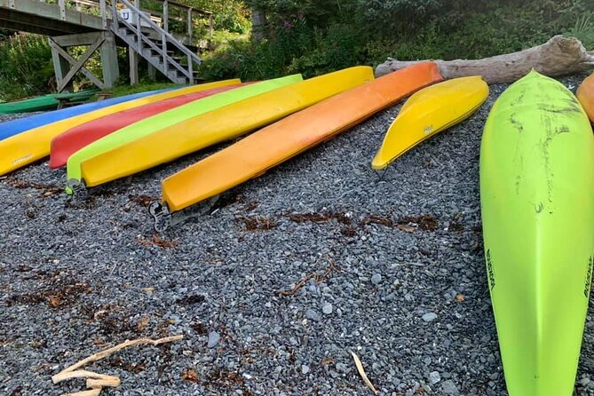 Full-Day Kayak Rental - Full-Day Kayak Rental - A Practical Guide to Your Alaska Adventure