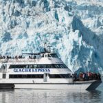 Full-Day Kenai Fjords National Park Cruise - The Value of the Tour: Does It Live Up to the Price?
