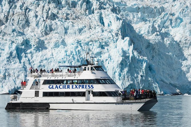Full-Day Kenai Fjords National Park Cruise - The Value of the Tour: Does It Live Up to the Price?