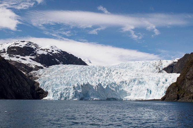 Full-Day Kenai Fjords National Park Cruise - The Experience from the Guides and Crew