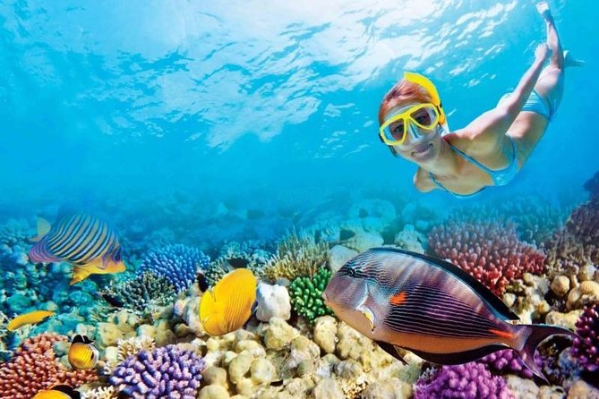 Full-Day Key West Tour and Coral Reef Snorkeling with Open Bar - An Honest Look at the Full-Day Key West Experience