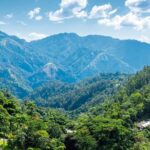 Full-Day Kingston and Blue Mountains Private Guided Tour - Why This Tour Offers Real Value