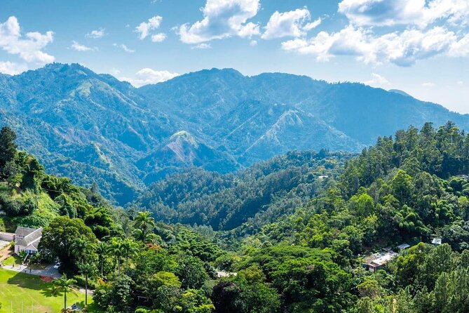 Full-Day Kingston and Blue Mountains Private Guided Tour - Why This Tour Offers Real Value