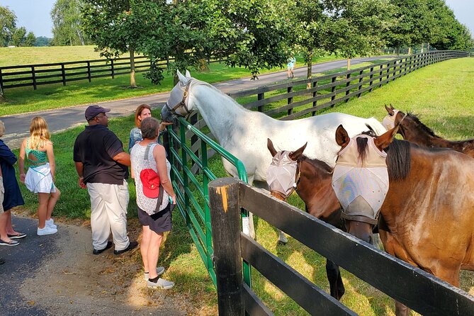 Full-Day Lexington Farm Tour with Clay Pigeon Shooting - An In-Depth Look at the Itinerary