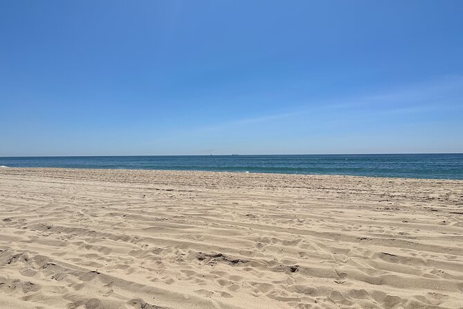 Full-Day Luxury Long Island Private Winery Tour - The Sum Up: Is It Worth It?