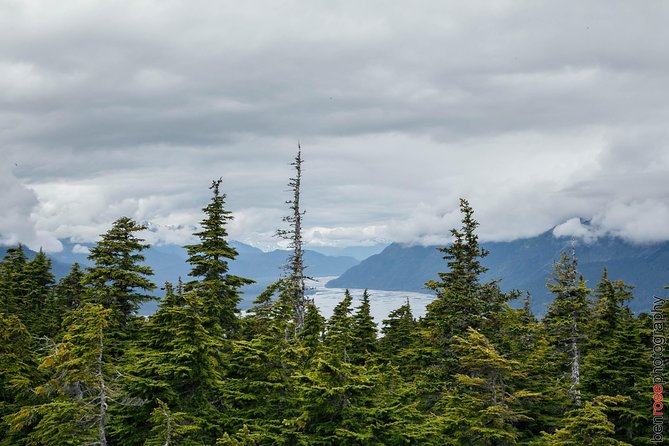 Full-Day Mount Riley Hike from Haines - An In-Depth Look at the Mount Riley Hike Experience