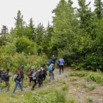 Full-Day Mount Riley Hike from Haines - What’s Included and Practical Details