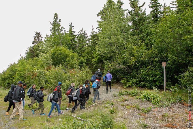 Full-Day Mount Riley Hike from Haines - What’s Included and Practical Details