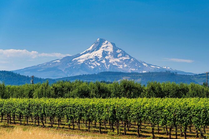 Full-Day Mt Hood Waterfall Tour with Lunch and Wine Included - Key Points