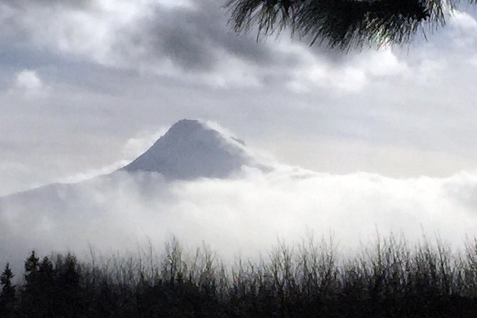 Full-Day Mt Hood Waterfall Tour with Lunch and Wine Included - The Itinerary in Detail: What Makes Each Stop Special