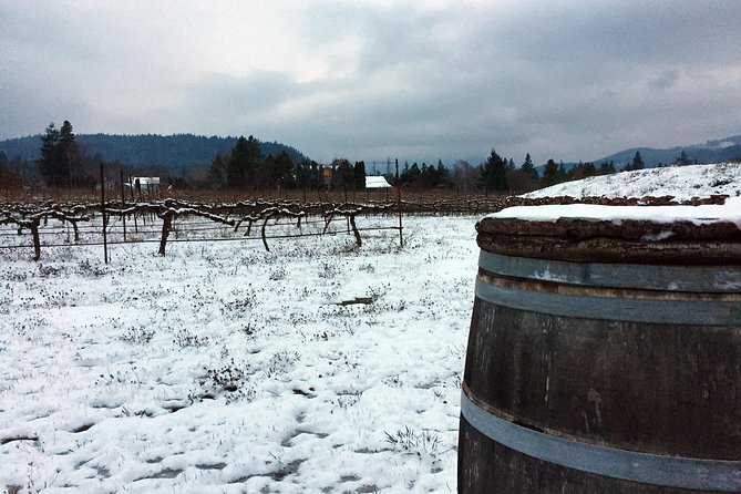 Full-Day Mt Hood Waterfall Tour with Lunch and Wine Included - The Sum Up