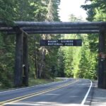 Full-Day Mt Rainier National Park Private Tour in SUV - Final Thoughts